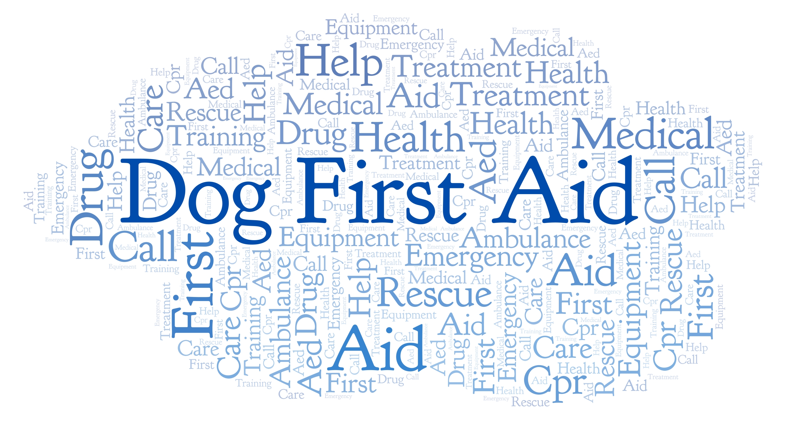 Dog First Aid - What to include in your First Aid Kit - DogFence
